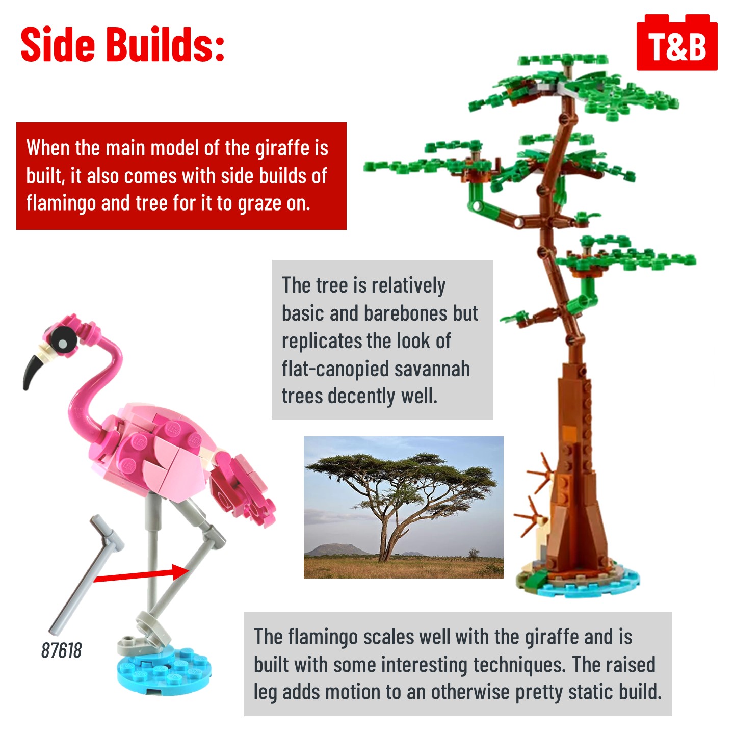 #2266 SET REVIEW: Creator 3in1 31150 Wild Safari Animals - Tips&Bricks