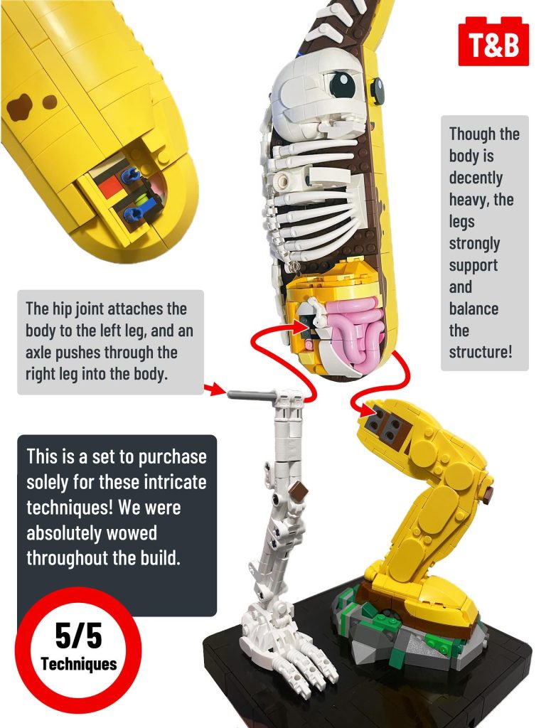 #2885 SET REVIEW: 77072 Peely Bone - Tips&Bricks